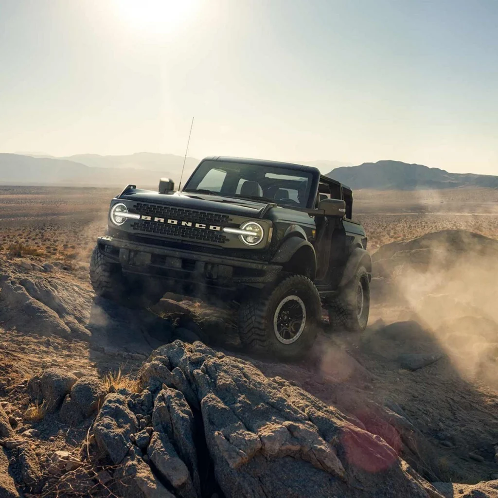 Case Studies | Examples of our Work | Lion Tree